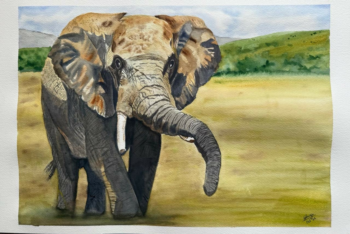 ESqx0Dpupf_1200x1200.jpg?v=1768643366