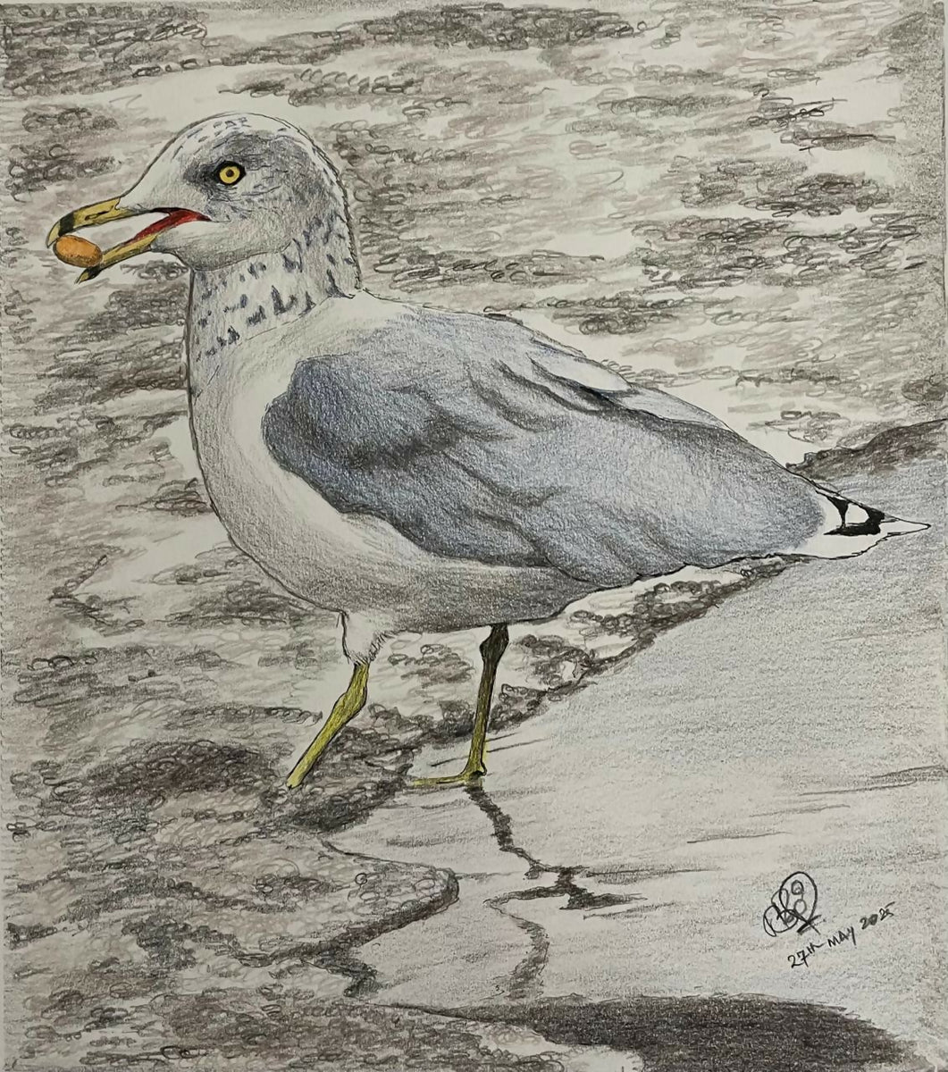 GUJyNUyEo4_1200x1200.jpg?v=1768643567