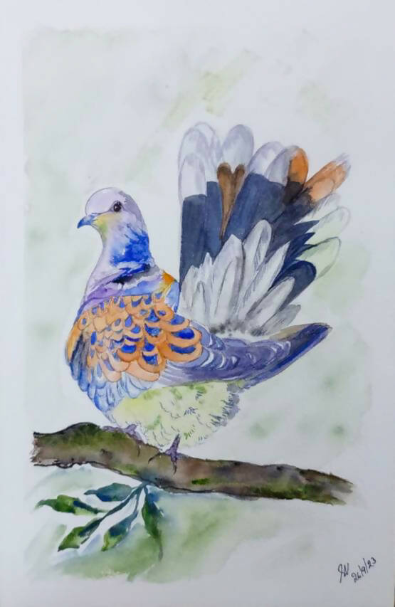 2bnhQvj8Fy_1200x1200.jpg?v=1697465052