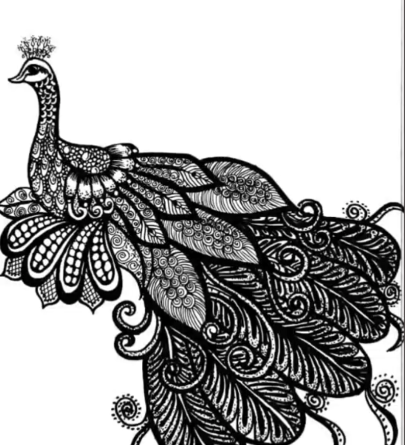 Buy Bird doodle art Painting at Lowest Price By Art home – Gallerist.in