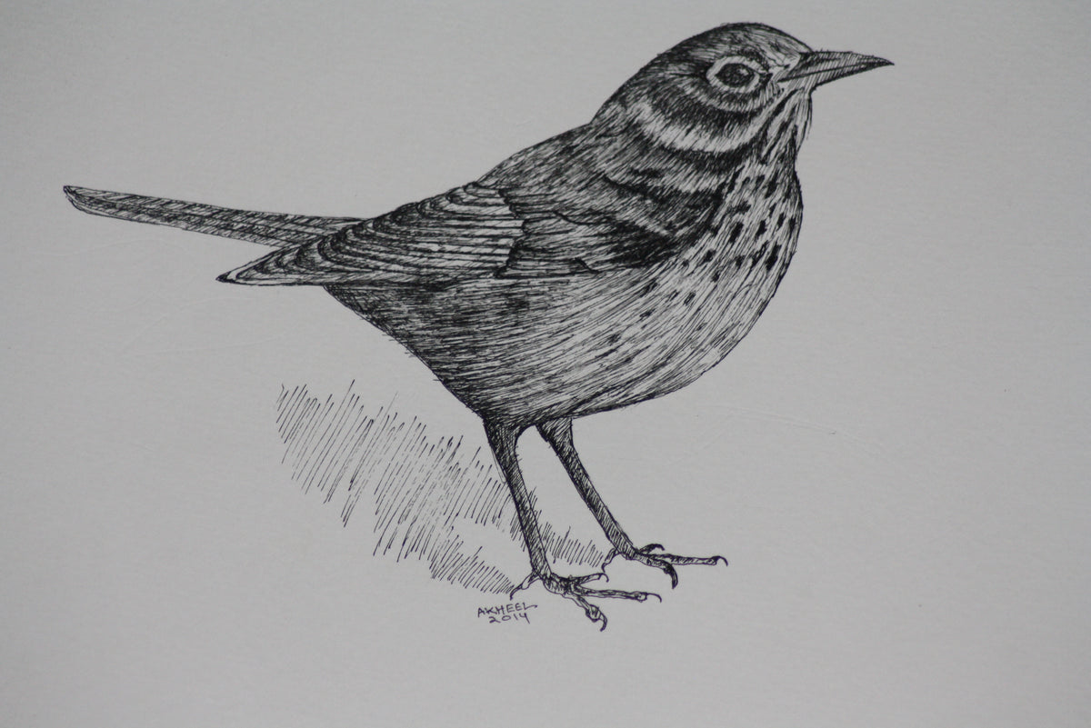 bird-life-size-pen-and-ink_1200x1200.jpg?v=1664456585