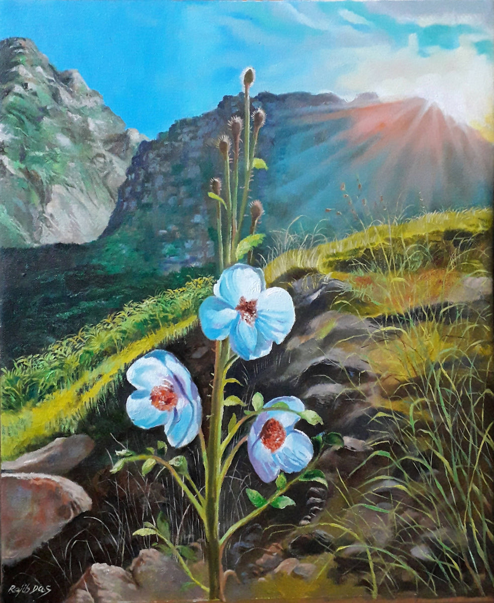 q9PwrTdNjp_1200x1200.jpg?v=1675192142