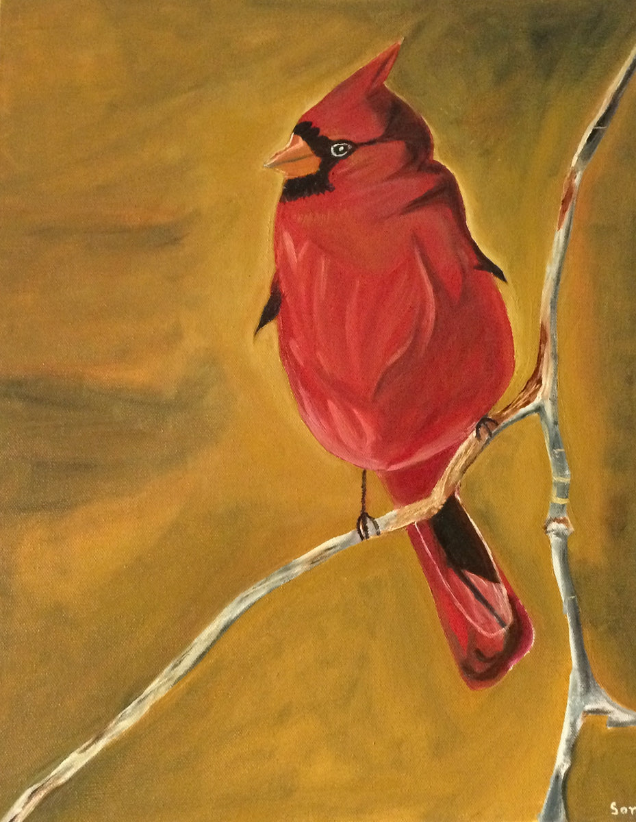 red-bird_1200x1200.jpg?v=1664380941