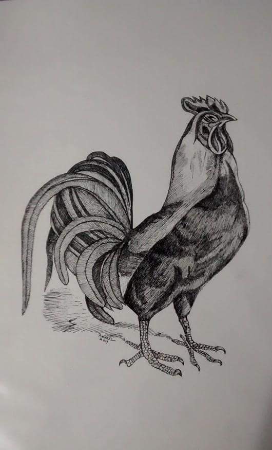 roster-pen-and-ink_1200x1200.jpg?v=1664456577