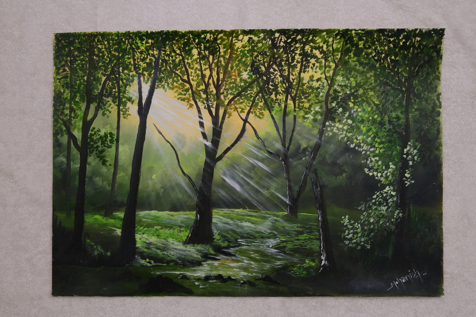 sunray-forest_1200x1200.jpg?v=1665465100